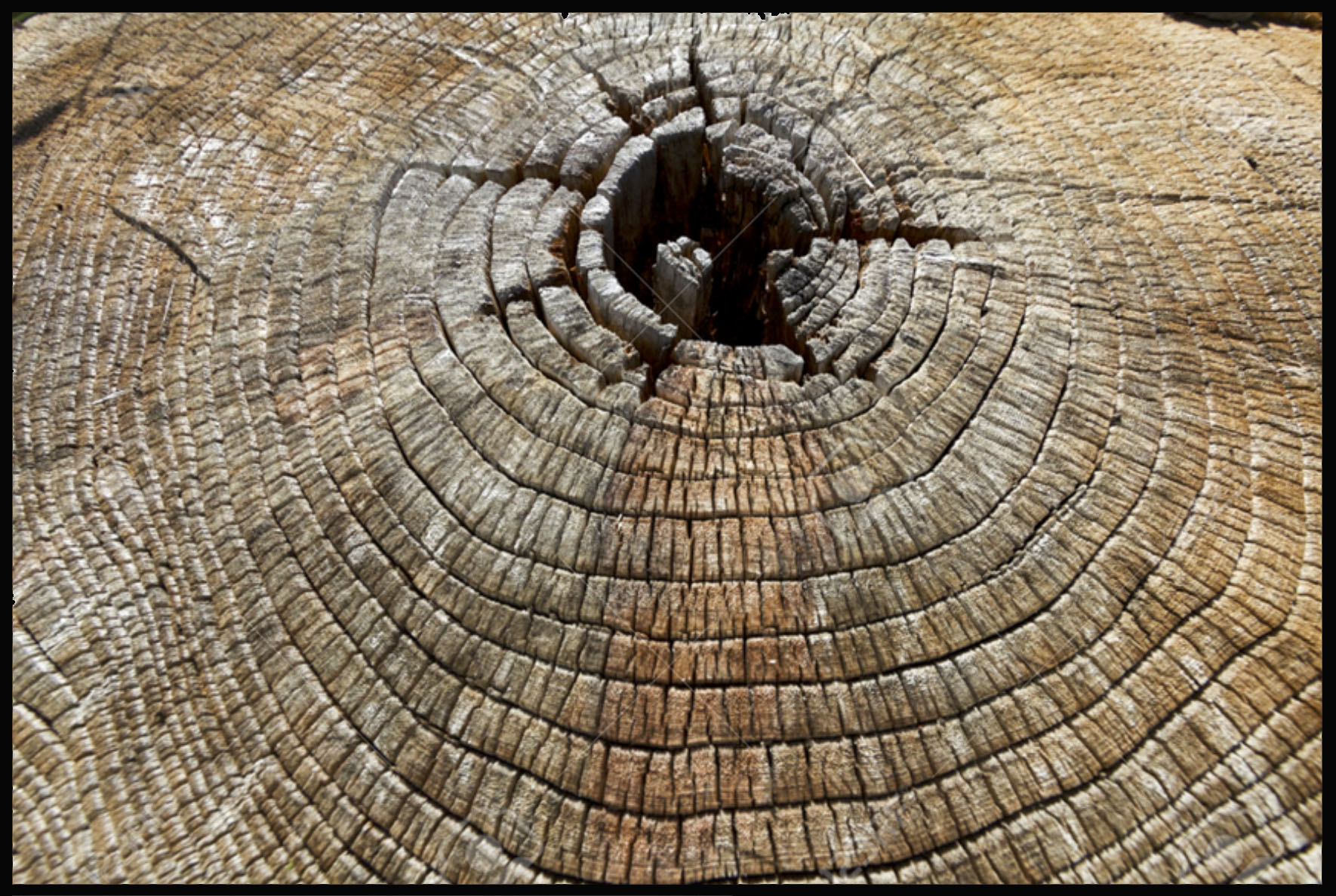 The Art of Aging – Gualala Arts