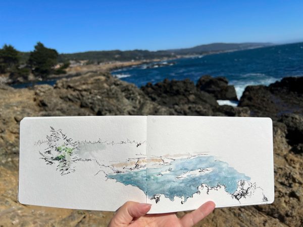 Spotlight on Salt Point – Gualala Arts